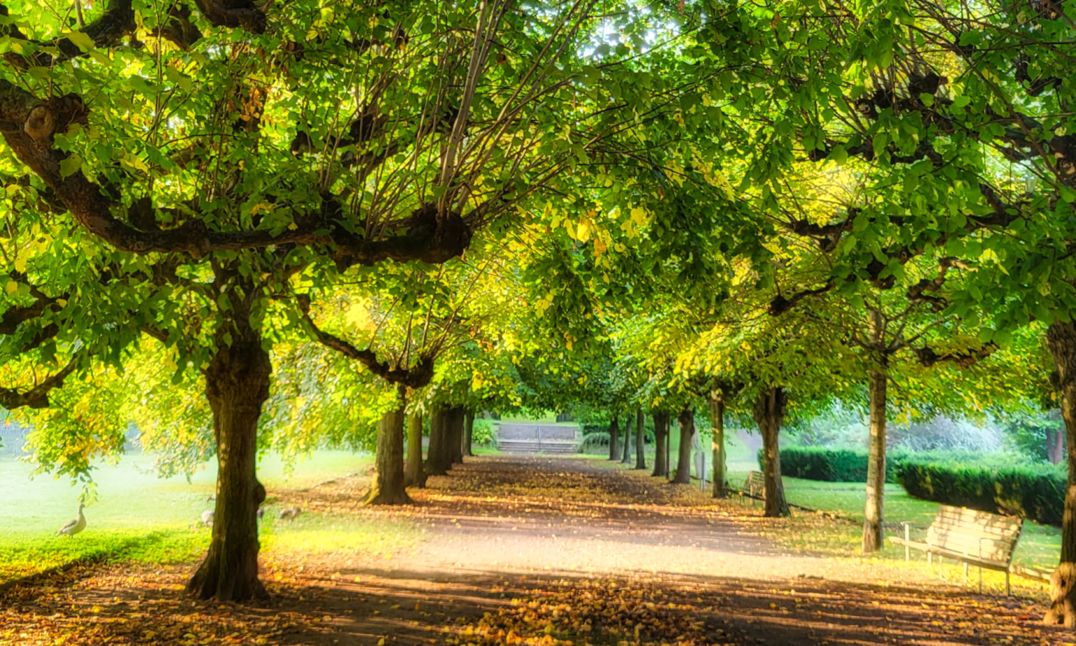 Accueil - Athénée royal d'Angleur
